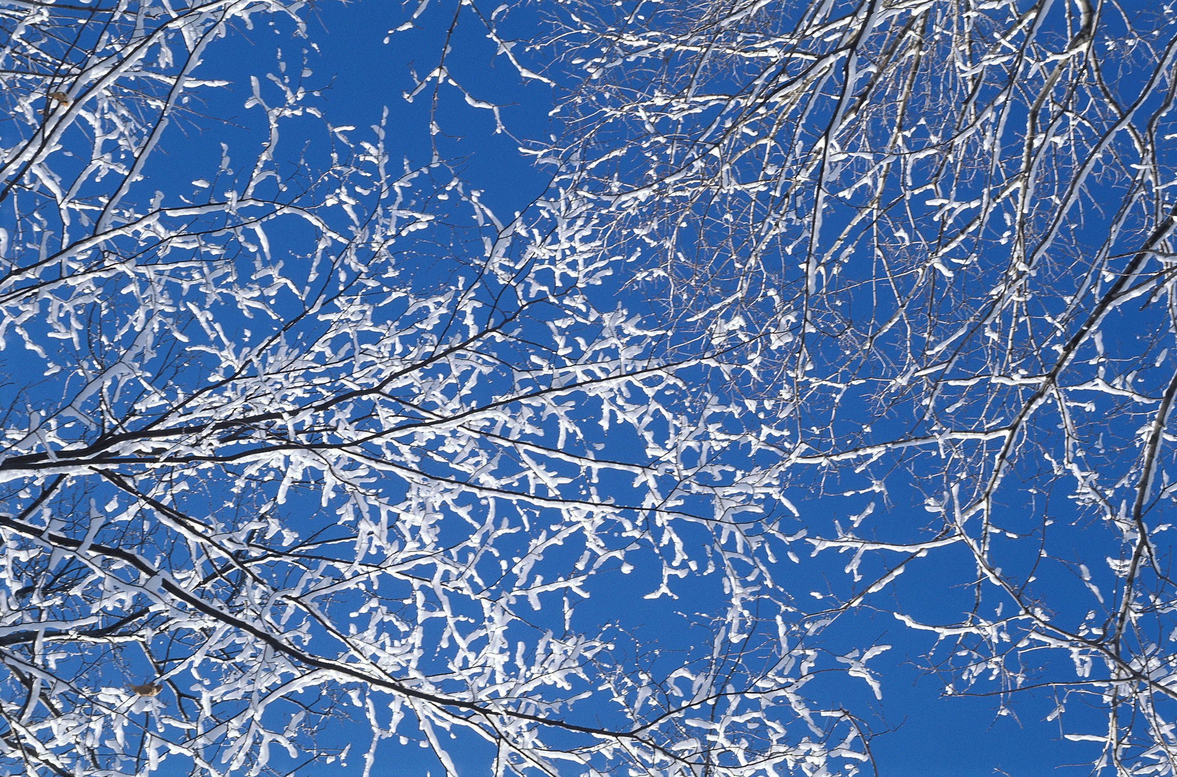 Spring isn’t quite here yet: Remember your cold-weather safety ...